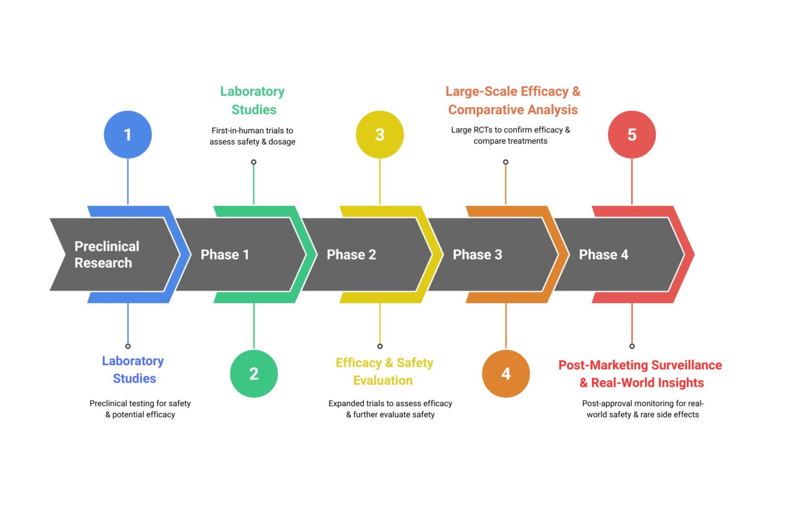 Phase 1, 2, 3 to 4 Clinical Trials Services | CRO Solutions