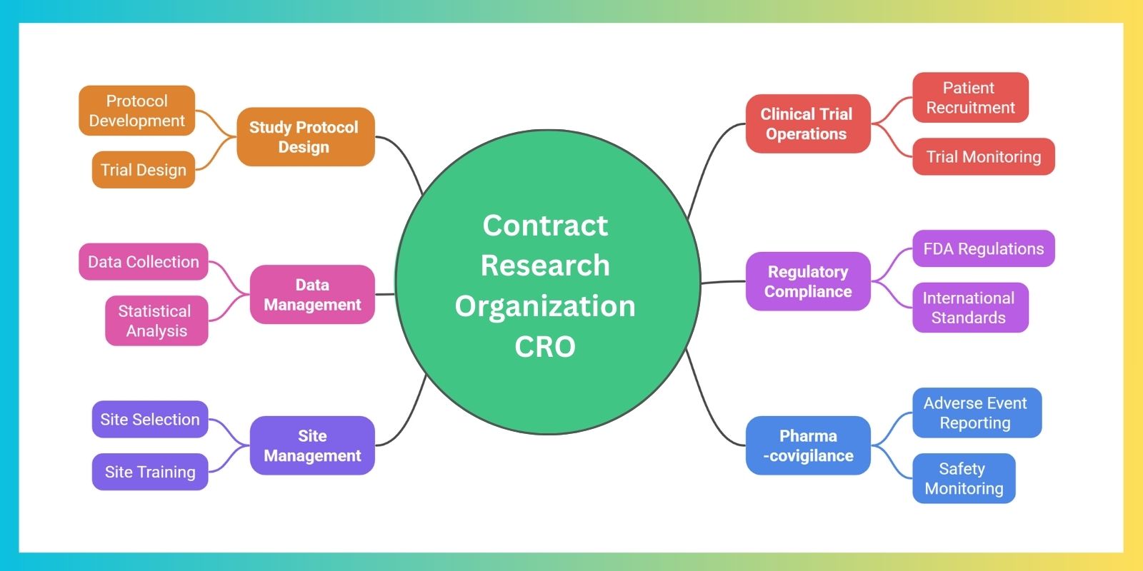 Contract Research Organization in the USA, India, and Europe