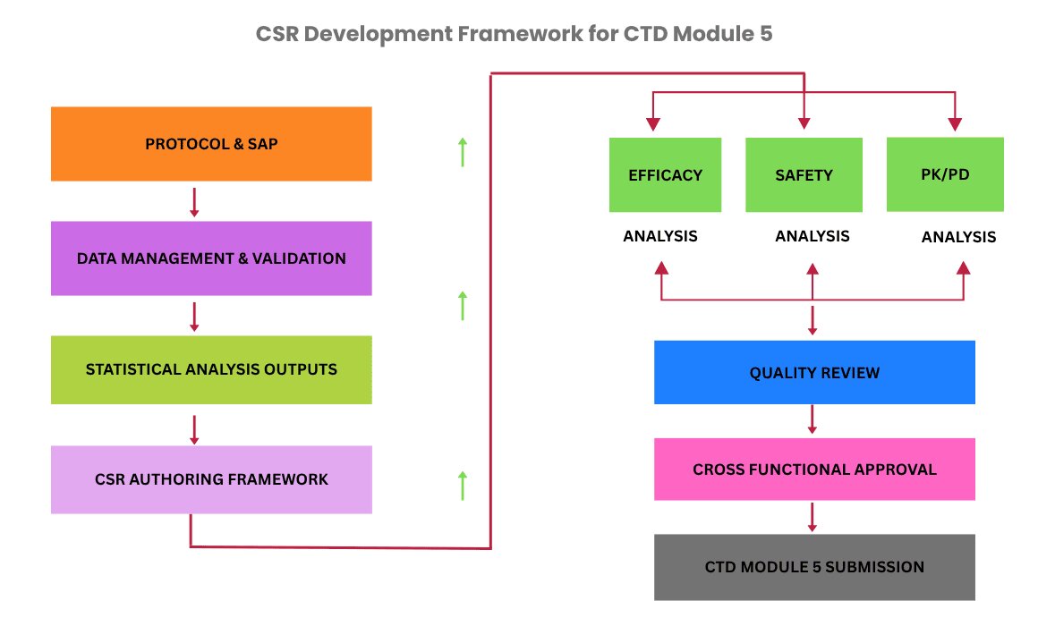 CSR Writing Frameworks Meeting CTD Module 5 Requirements